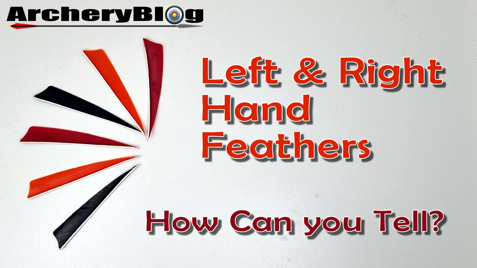Left and Right Hand Feathers - How Can You Tell the Difference ...